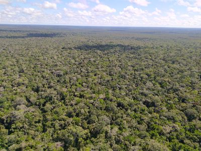 Crowdfunding - Amazonia Forever | Kickante